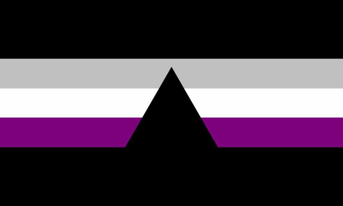 Le guide complet des drapeaux LGBT+